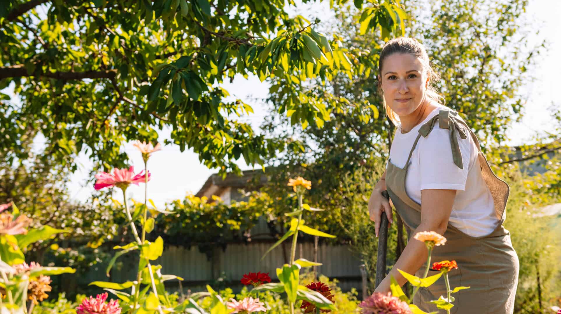 Guide to Embryo Adoption | Nested Adoption Solutions